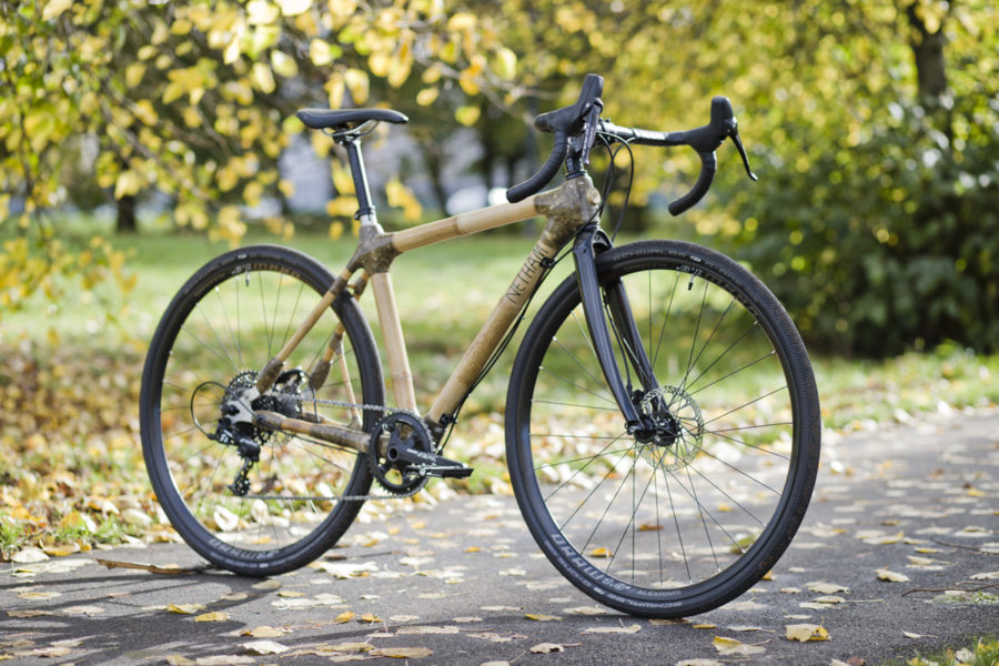 Bambù: il materiale simbolo della sostenibilità - Bioecolution