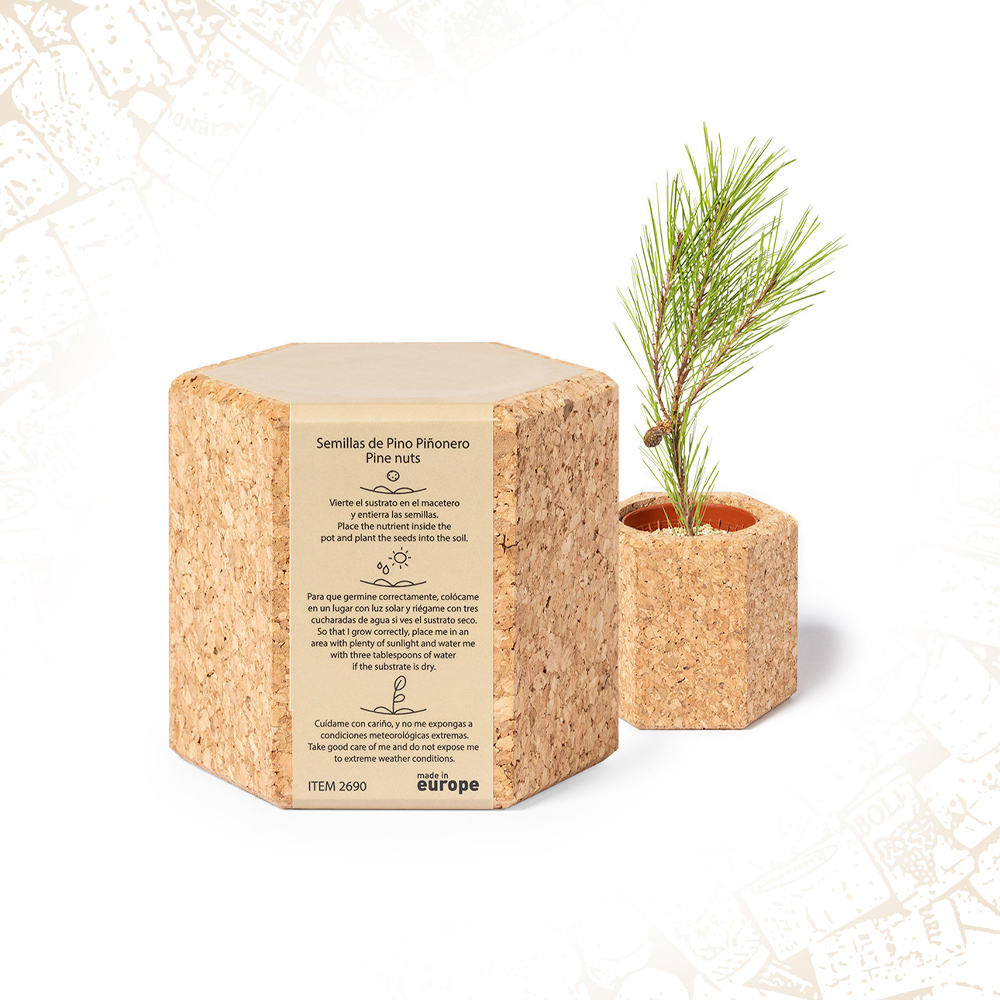 Vaso di pino Guly - Bioecolution